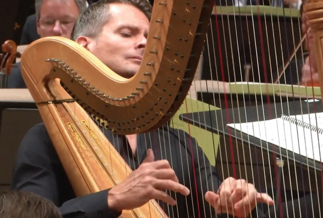 Rio será capital mundial da harpa em julho; RioHarpFestival 2023 ...